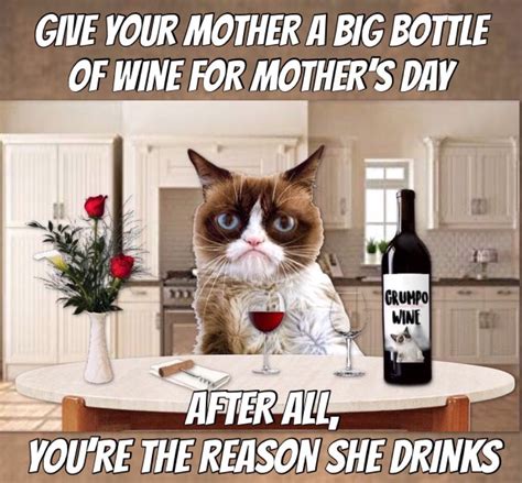 Grumpy Cat Mom 💐🍷 Grumpy Cat Grumpy Cat Humor Cat Jokes