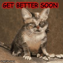 Cat Get Well Soon S Tenor Cat Get Well Soon S Tenor