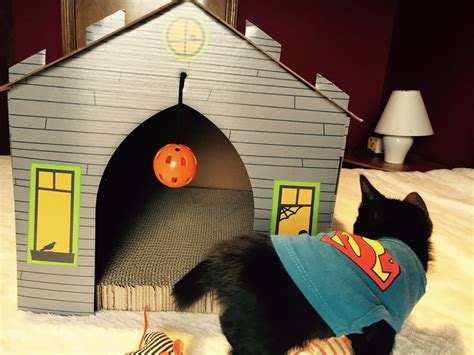 As The World Purrs Haunted Classroom