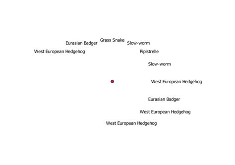 Labeling Colliding Labels For Point Features In QGIS Geographic Information Systems Stack