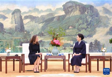 彭丽媛同芬兰总统夫人苏珊娜茶叙 中华人民共和国驻日本国大使馆