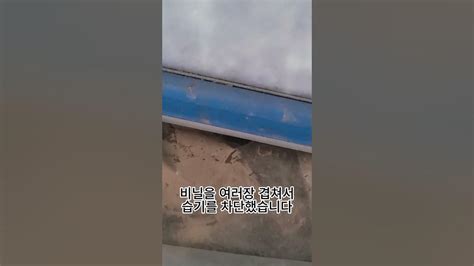 비닐하우스 습기방지농막하우스 Youtube