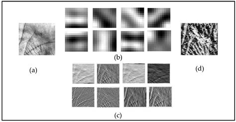 sensors free full text contactless palmprint recognition using