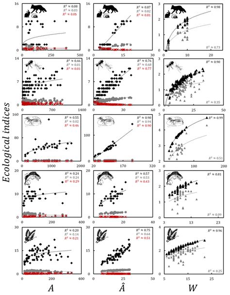 Relationship Between Quantities Of Organisms And Entropy Measures