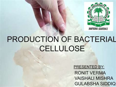 Bacterial Cellulose Presentation Pptx