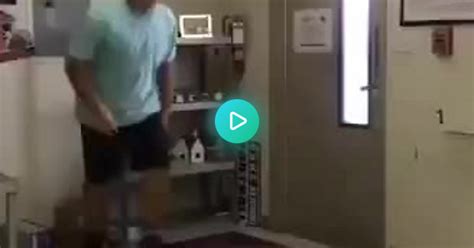 Fat Guy Vs Bins Album On Imgur