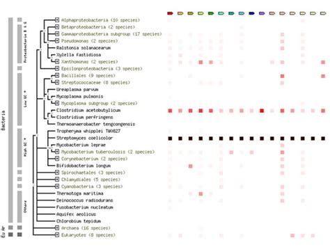 Cross Species Data Integration Ppt