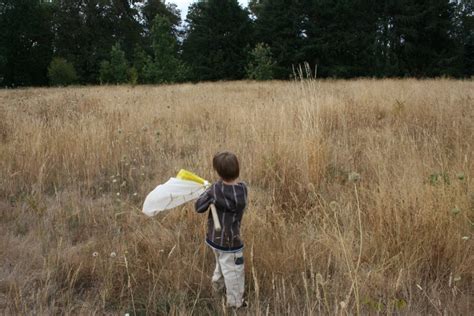 Bug Safari Woolymossroots