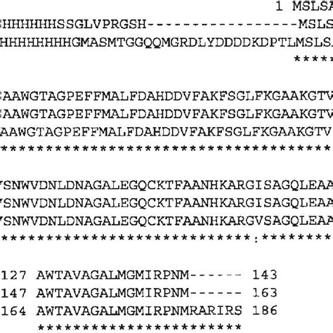 Multiple Sequence Alignment Of The Wild Type And Two Recombinant Hbi