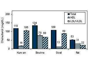EnzyChrom AF HDL And LDL VLDL Assay Kit BioAssay Sys