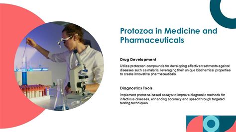 Protozoa Sketch Ppt Designs Acp Ppt Sample