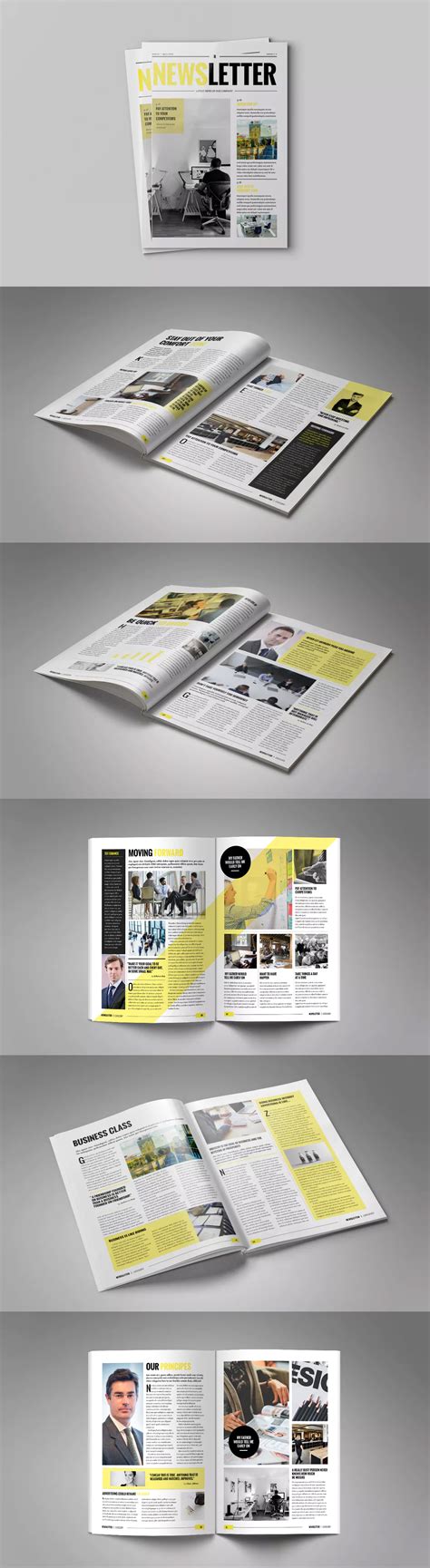 Envato Newsletter Templates