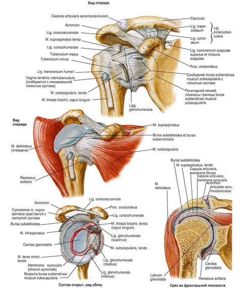 Pin on Science and knowledge