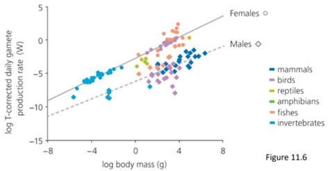 Sexual Selection Flashcards Quizlet