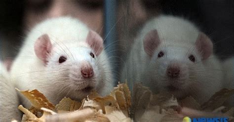 거울에 비친 내 모습 잘 생겼네