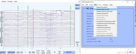 Eeglab的相关使用 Csdn博客
