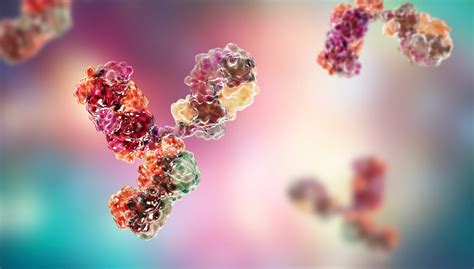 Les Anticorps Quelle Protection Offrent Ils Vraiment Pour La Science