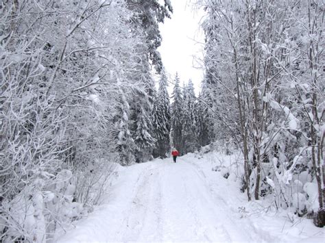 Vuodenajat valokuvin: Lunta, lunta vaan...