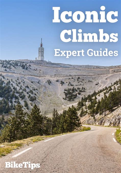 Ultimate Shimano Wheels Guide And Hierarchy Road Bike Edition