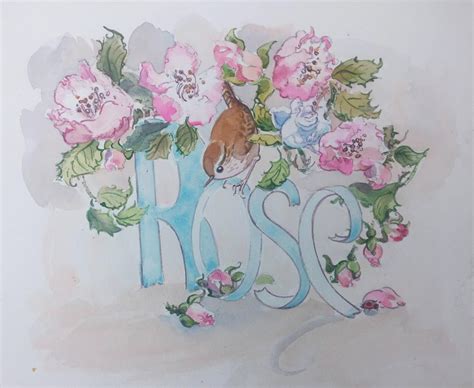 Roses With A Wren Jenny Fionda Illustration