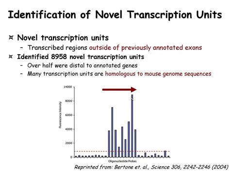 Genome Biology And Biotechnology Ppt Download