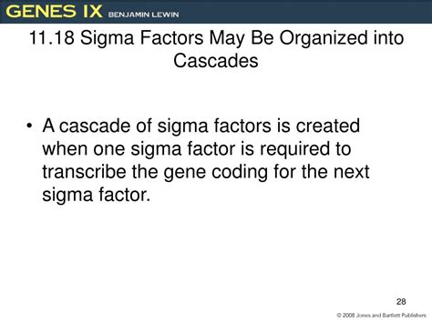 Ppt Transcription Powerpoint Presentation Free Download Id7072415