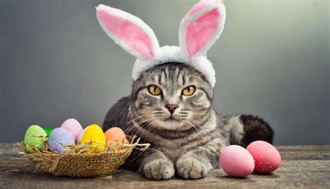 Premium Photo Small Cat With Rabbit Ears Cap And Easter Eggs Copy