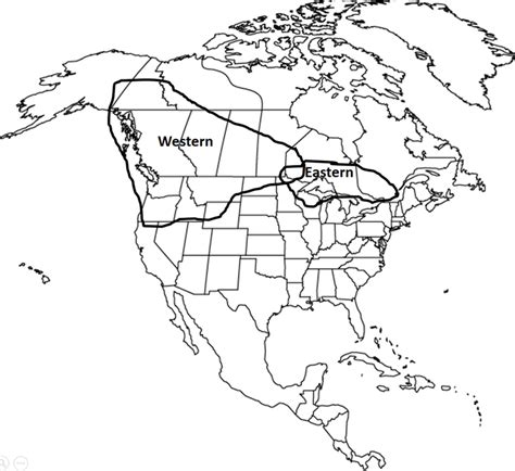 General Distribution Of Sympatric Western Wolves And Western Coyotes Download Scientific