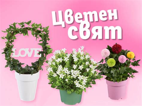 Lidl Верига от любими продукти