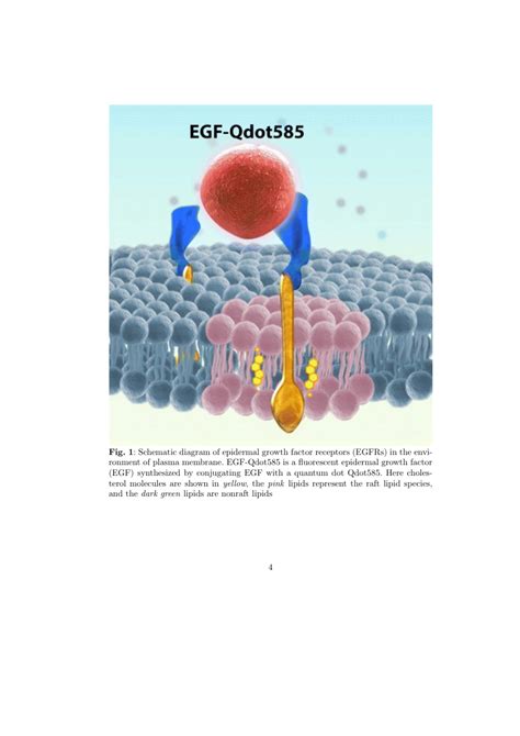 Journal Of Computational Social Science Template Springer