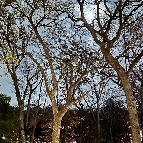 Clockwise Vs Counterclockwise Earth Fairy Holistics Facebook