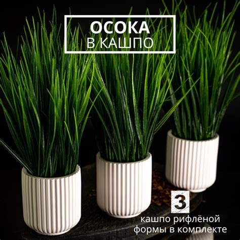 Купить Искусственные цветы для декора в горшке Осока рифленое 3 шт по выгодной цене в
