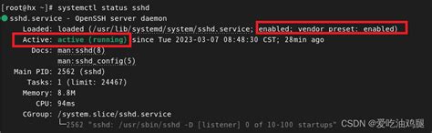 Vscode远程免密连接linux虚拟机，并配置cc运行环境vscode远程连接虚拟机中的linux Csdn博客