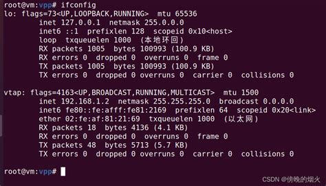 Vpp 模拟家用路由器wan 和lan，实现上网 Dhcp Server基于vpp路由器开发 Csdn博客