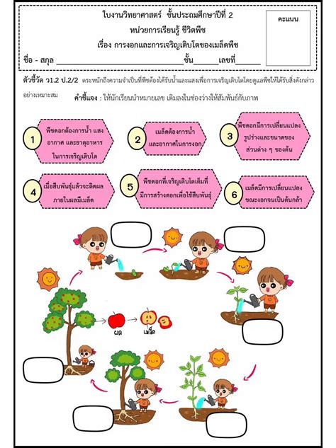 ใบงานวิทยาศาสตร์ป2 แกลเลอรีที่โพสต์โดย ปันสื่อวิทย์ Lemon8