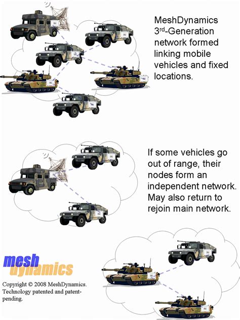 Disruption Tolerant Mobile Mesh Networks