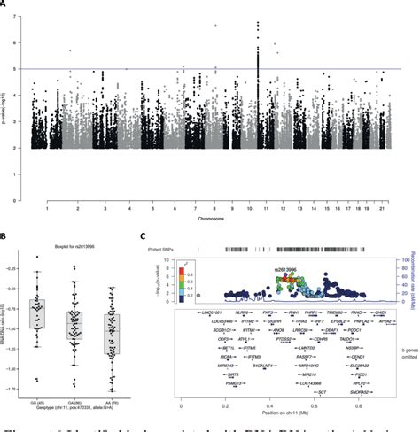 Figure 4 3 From Genetic Determinants Of Human Phenotypes Semantic Scholar