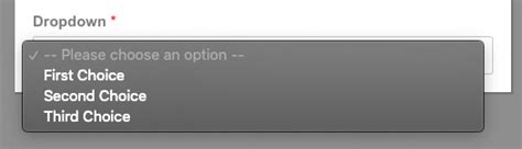 how to add a placeholder text to a dropdown field