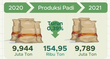 2021 Total Produksi Padi Di Jatim Sekitar 9 789 Juta Ton GKG