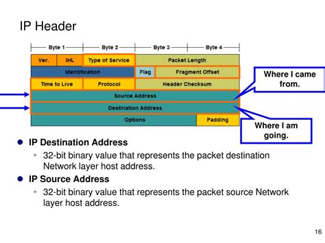 PPT Chapter Network Layer PowerPoint Presentation Free Download