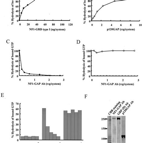 Specific Inhibition Of Nf1 Gap Activity By Nf1 Gap Ab A And B Download Scientific Diagram