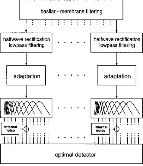 Figure 1 From Modeling Auditory Processing Of Amplitude Modulation Ii Spectral And Temporal