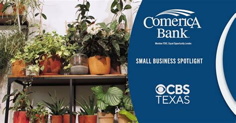 Small Business Spotlight Stemuli Cbs Texas