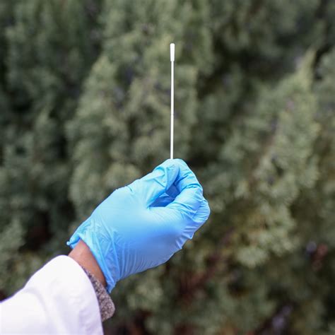 When You Should Test For Covid 19 Rsv And Flu Wsj