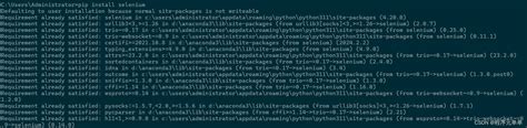 pip 安装selenium pip selenuim whl CSDN博客