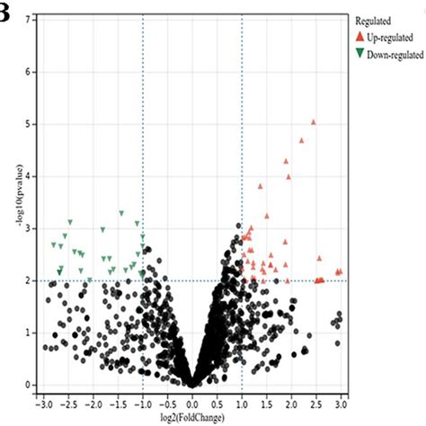 Heatmaps Of Differentially Expressed RNAs Between ALN Positive And