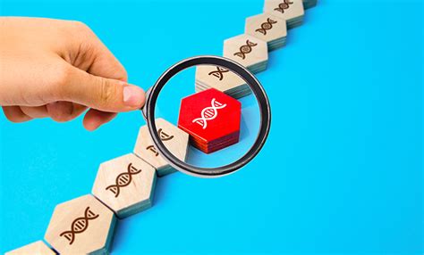 Forensic Genetic Genealogy Helps Solve Crimes And All States Should Regulate It Aba House Says