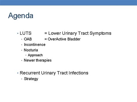 Luts Nocturia Incontinence Recurrent Utis St George Education