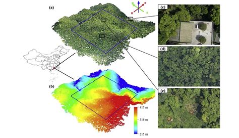 Ai Revolutionizes Forestry Monitor And Protect Forests