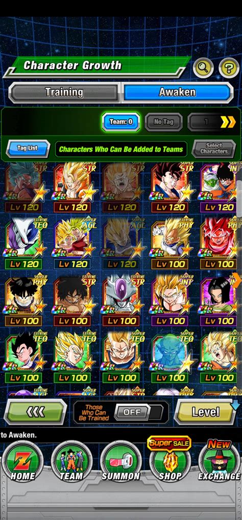 Str Lr Goku Gt And Ssj4 Vegeta Animation 🫡 Rdokkanbattle